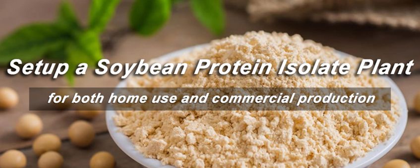 100TPD Soybean Protein Isolate Plant Project Built in Uzbekistan